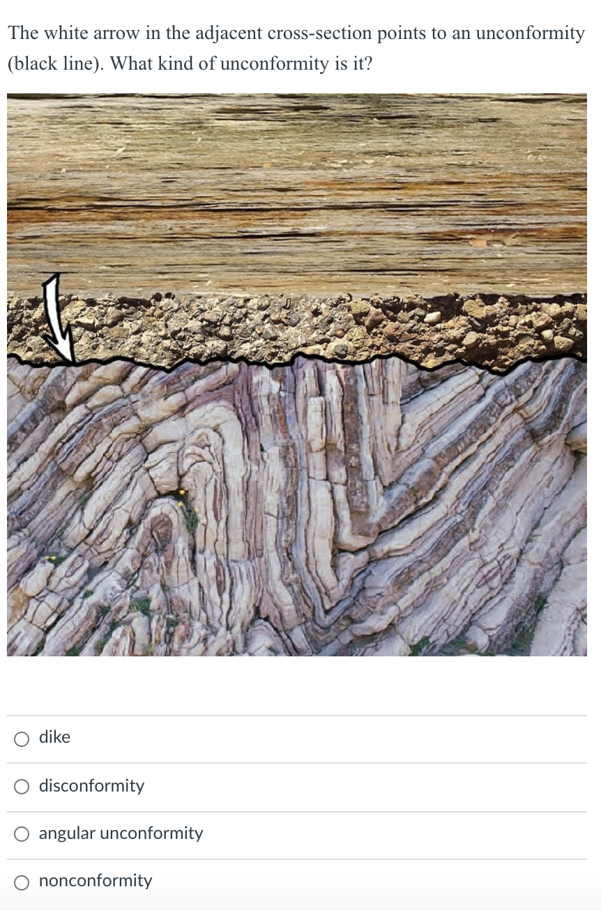 Solved The white arrow in the adjacent cross-section points | Chegg.com