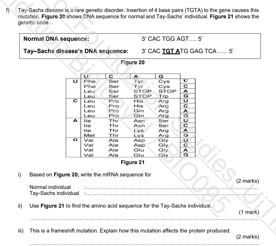 Solved f) Tay-Sachs disease is a rare genetic disorder. | Chegg.com