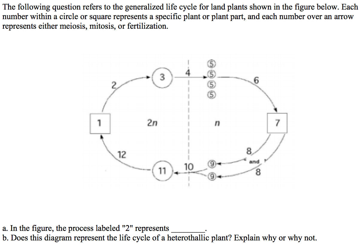 Solved The following question refers to the generalized life | Chegg.com