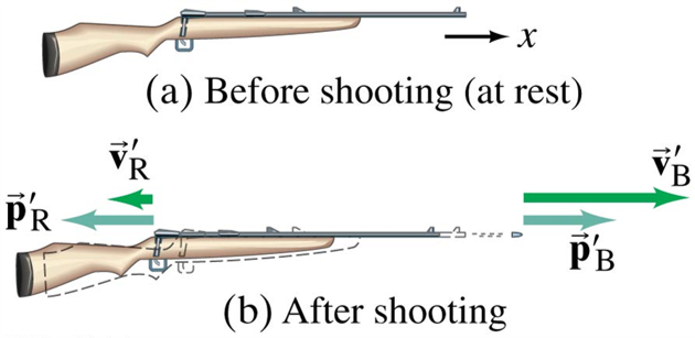 Solved Calculate the recoil speed of a 5kg rifle that shoots | Chegg.com