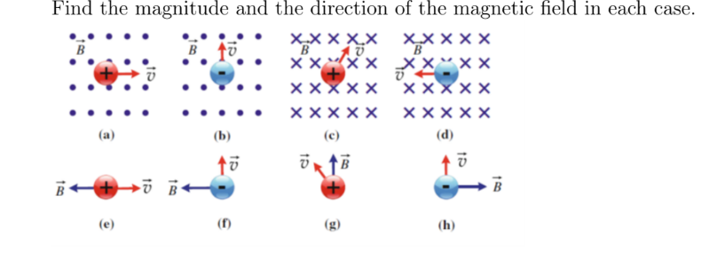 Solved Find the magnitude and the direction of the magnetic | Chegg.com