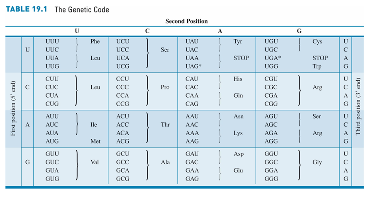 Solved 19. Consider the genetic code as described in the | Chegg.com