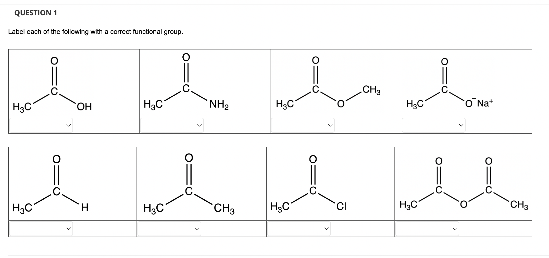 Solved Label each of the following with a correct functional | Chegg.com