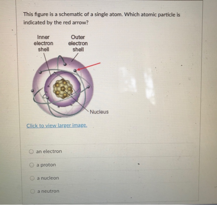 Solved This figure is a schematic of a single atom. Which | Chegg.com