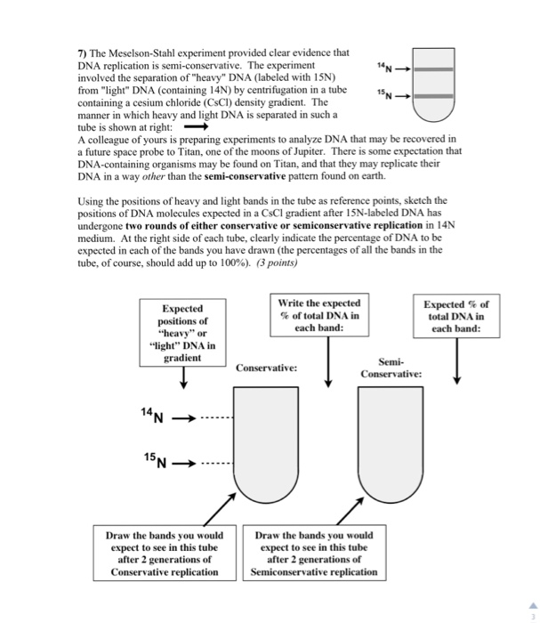 Solved 7) The Meselson-Stahl experiment provided clear | Chegg.com