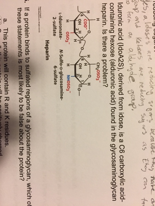 Solved For biochemistry The iduronic acid | Chegg.com