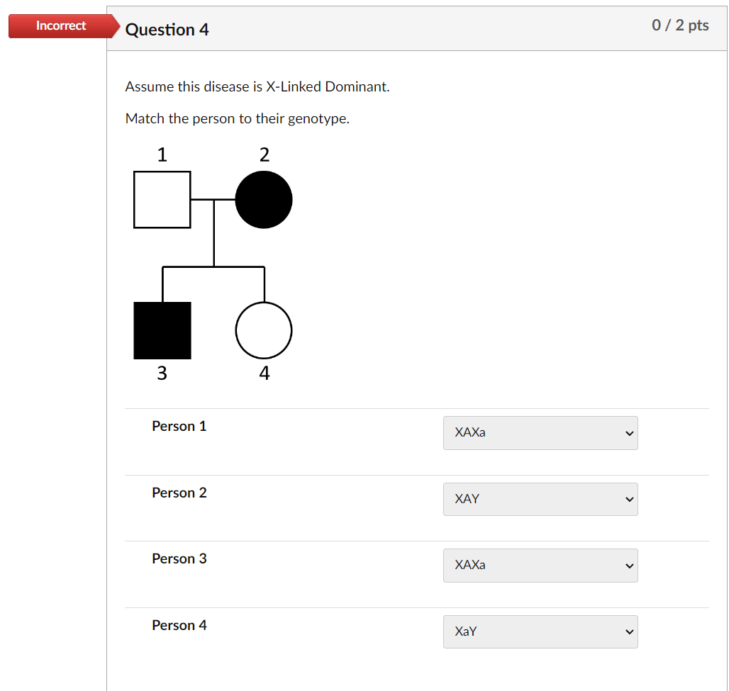 Solved Assume this disease is X-Linked Recessive. Match | Chegg.com