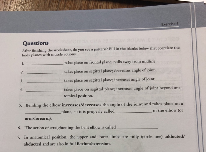 Anatomy Fill In The Blank Worksheets College - Kindergarten Printable Sheet
