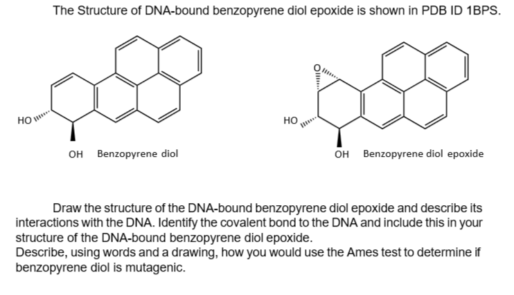 Solved The Structure of DNA-bound benzopyrene diol epoxide | Chegg.com