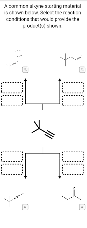 Solved A common alkyne starting material is shown below. | Chegg.com