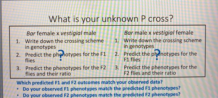 1-which cross was the P cross for this sample | Chegg.com