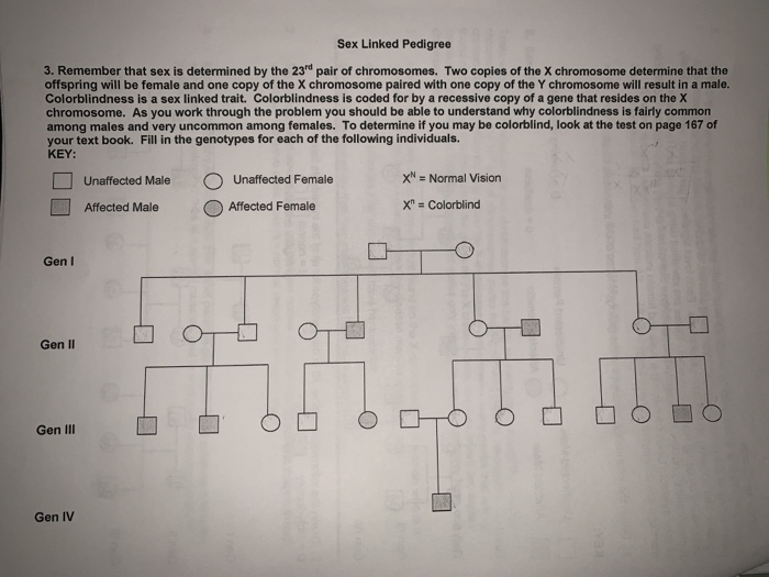Solved Sex Linked Pedigree 3. Remember that sex is | Chegg.com