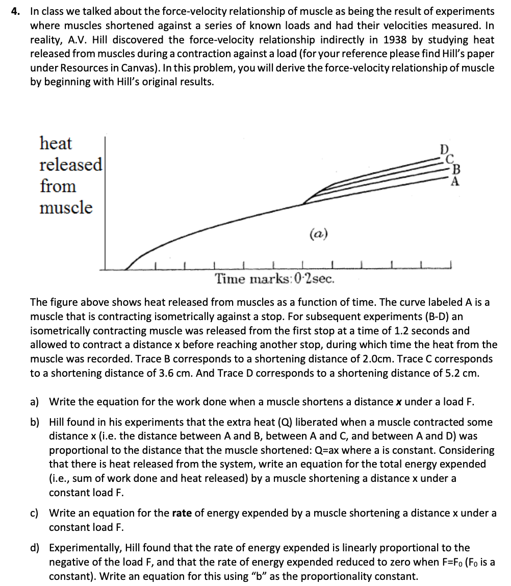 4. In class we talked about the force-velocity | Chegg.com