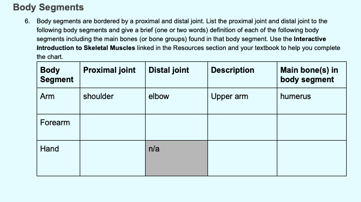Solved Body Segments 6. Body segments are bordered by a | Chegg.com