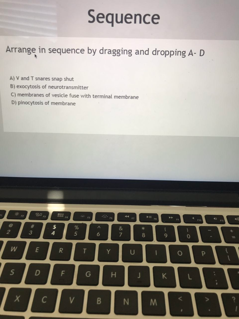 Solved Sequence Arrange in sequence by dragging and dropping | Chegg.com