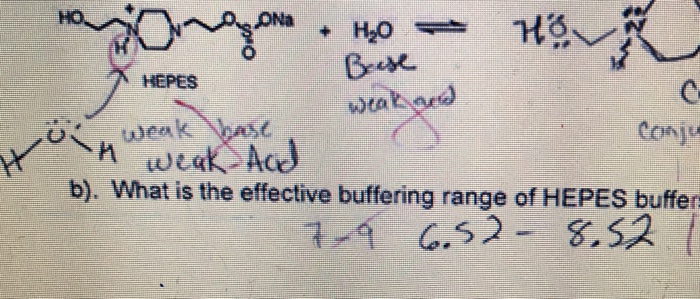 Solved Write the equation for the dissociation of HEPES in | Chegg.com