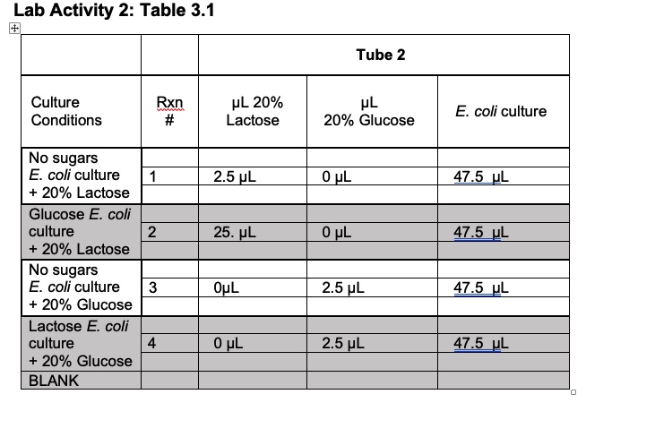 Solved Examine your data for Lab Activity 2. Describe the | Chegg.com