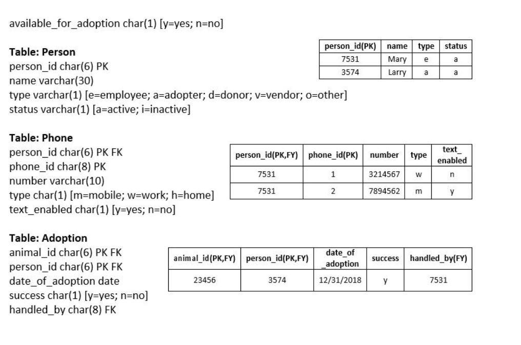 Solved available_for_adoption char(1) [y=yes; n=no] Table: | Chegg.com