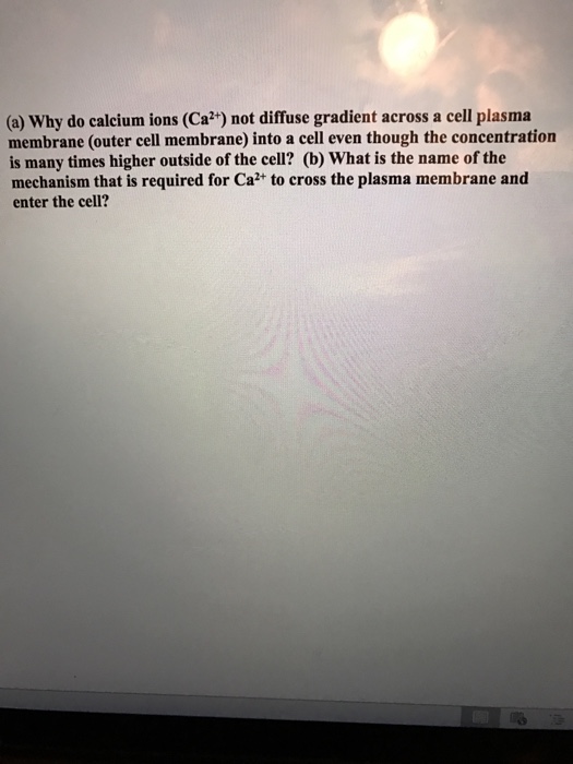 Solved Why do calcium ions (Ca^2+) not diffuse gradient | Chegg.com