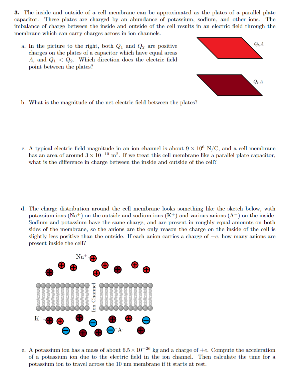 [Solved]: 3. The inside and outside of a cell membrane can