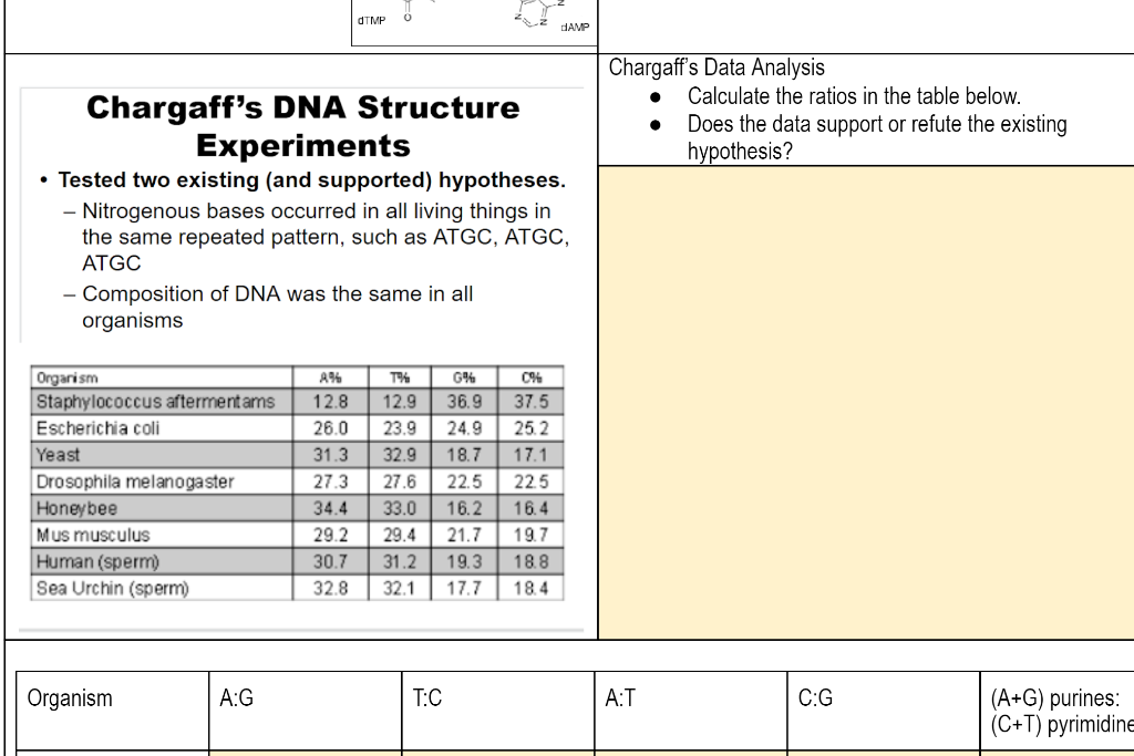 Solved TIMP DANP Chargaff's Data Analysis Calculate the | Chegg.com