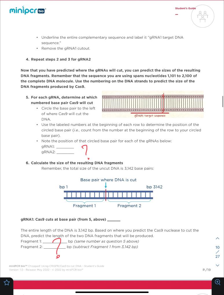 Solved Repeat the process for gRNA 2 13. When you have | Chegg.com