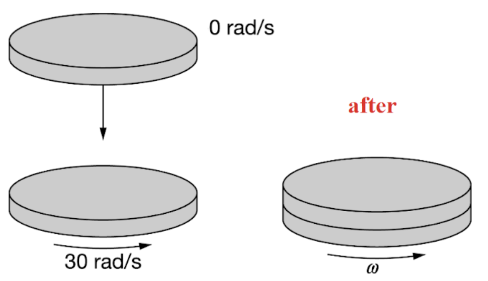 Solved Use the image below for the following questions: | Chegg.com