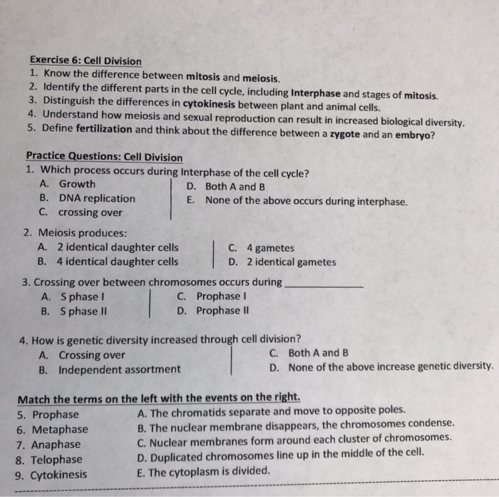 Solved Exercise 6: Cell Division 1. Know the difference | Chegg.com