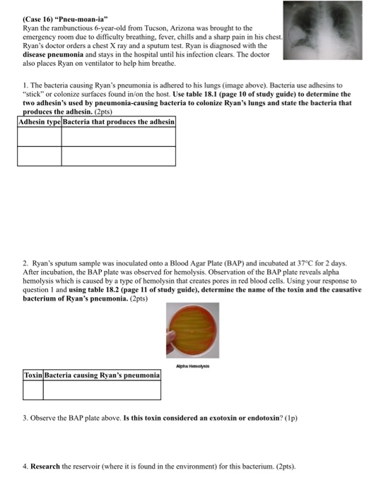 Solved Table 18.1 Examples of Bacterial Adhesins Bacterium | Chegg.com