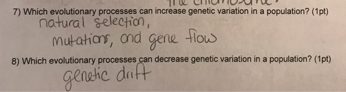 Solved 7) Which evolutionary processes can increase genetic | Chegg.com