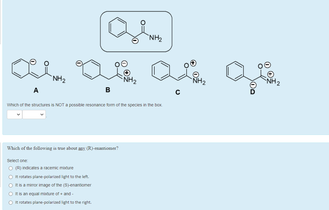 Solved Qey NH2 NH2 NH2 NH2 A B с Which of the structures is | Chegg.com