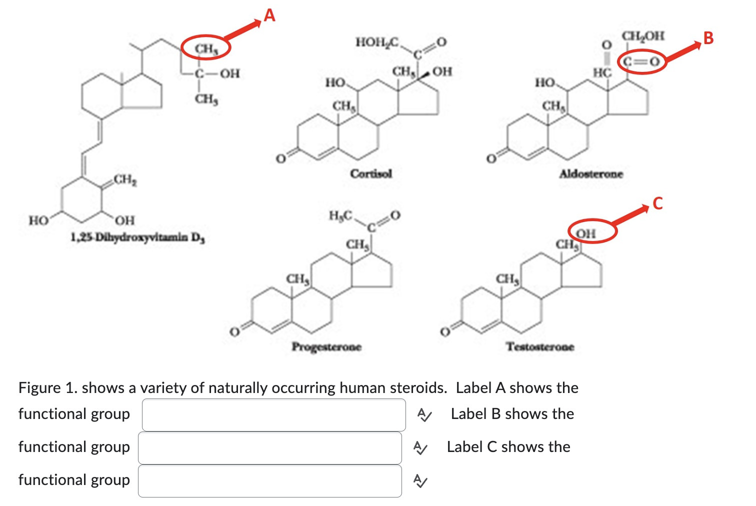 Solved Figure 1. shows a variety of naturally occurring | Chegg.com