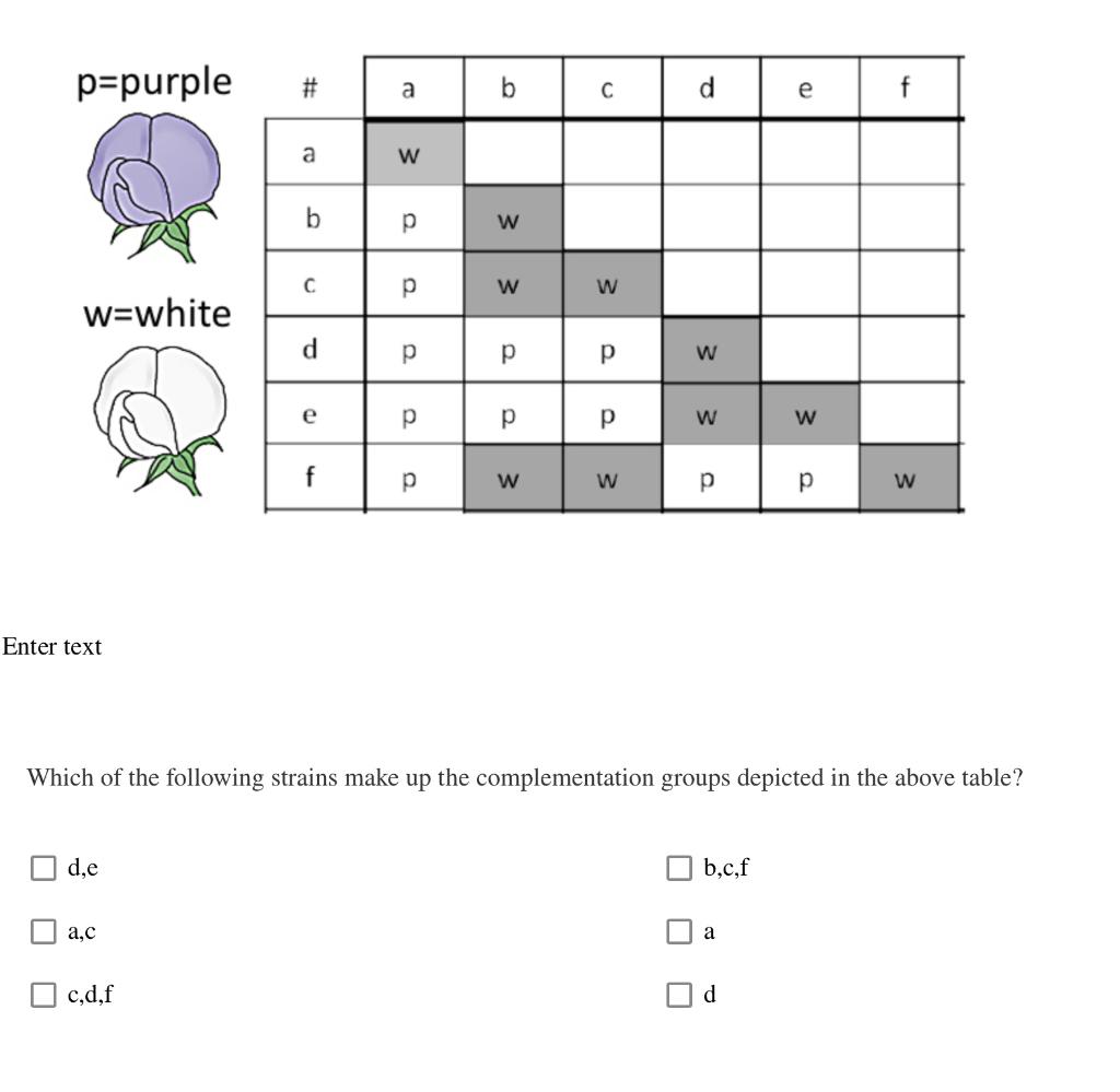 Solved Enter text Which of the following strains make up the | Chegg.com