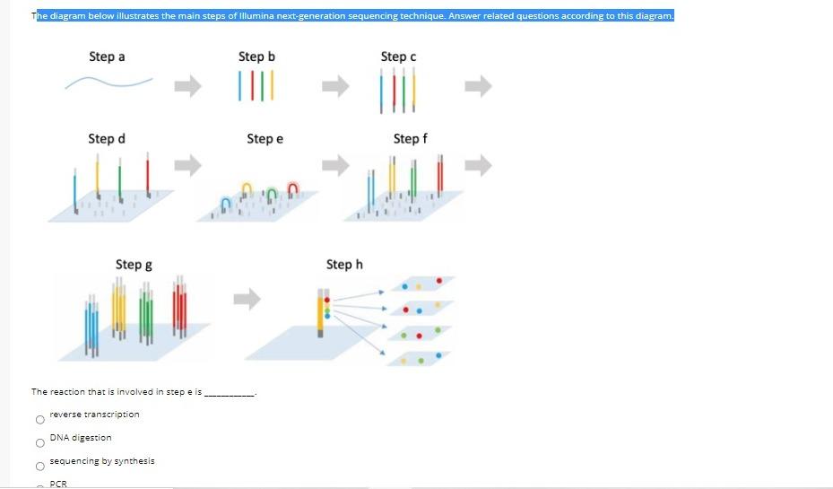 Illumina Next Generation Sequencing