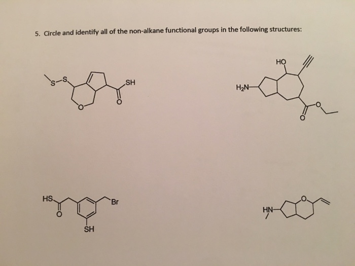 Solved 5. Circle and identify all of the non-alkane | Chegg.com