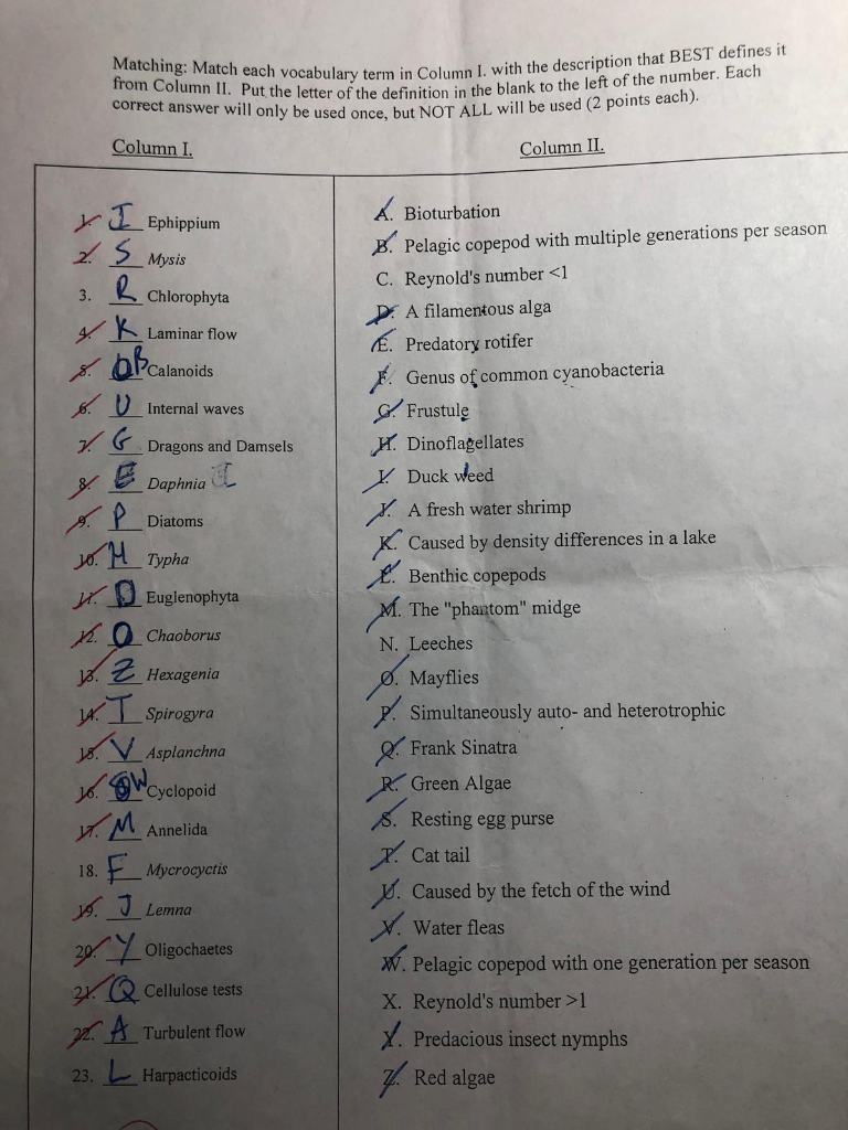 Solved Matching: Match each vocabulary from Column II. Put | Chegg.com