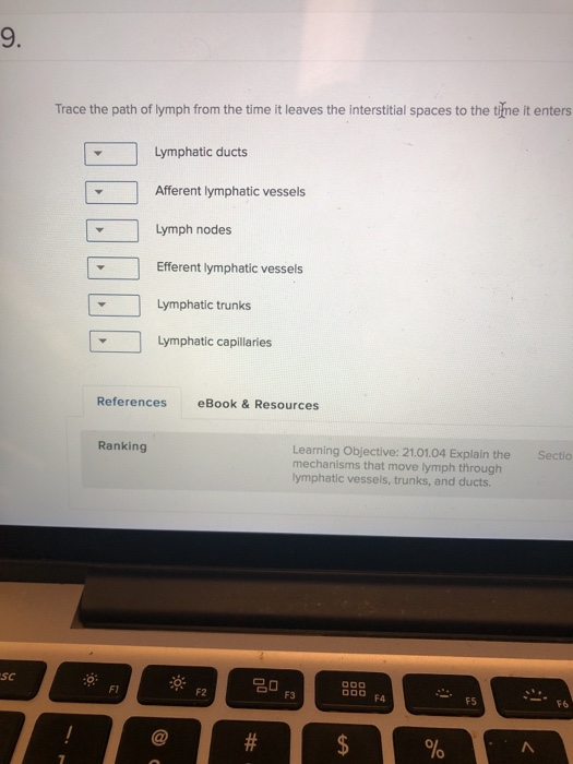Solved Match the lymphatic organ with its description. | Chegg.com