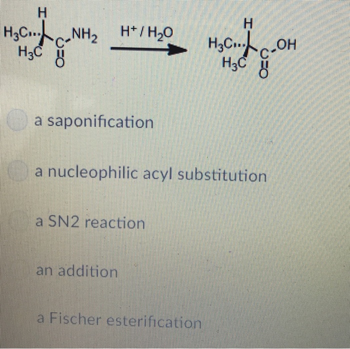 Solved Question 1 (2 points) D What is the IUPAC name of | Chegg.com