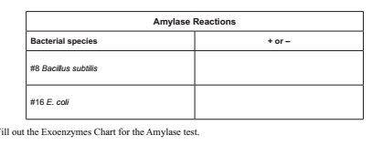 Solved Amylase Reactions Bacterial species + or - #8 | Chegg.com