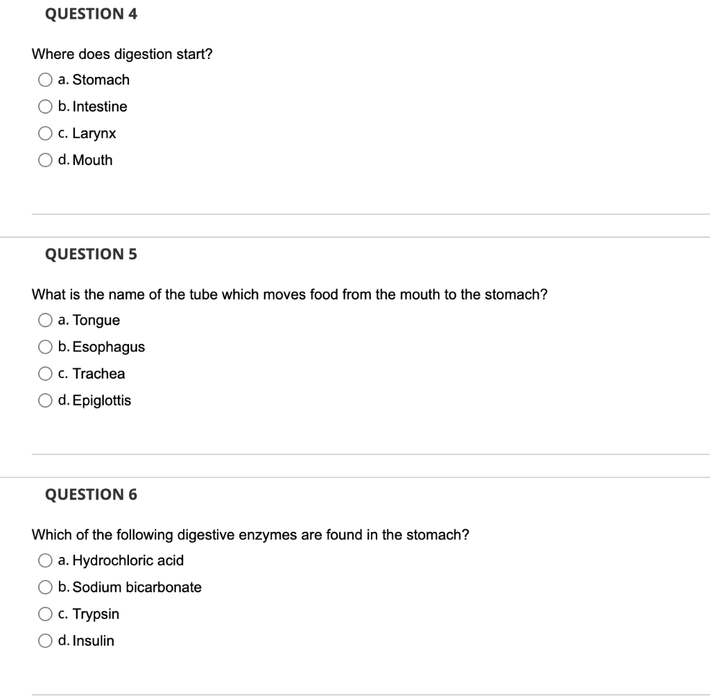 Solved QUESTION 1 Where is chyme produced? O a. Large | Chegg.com