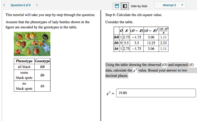 Solved Side-by-Side Attempt 3 This | Chegg.com