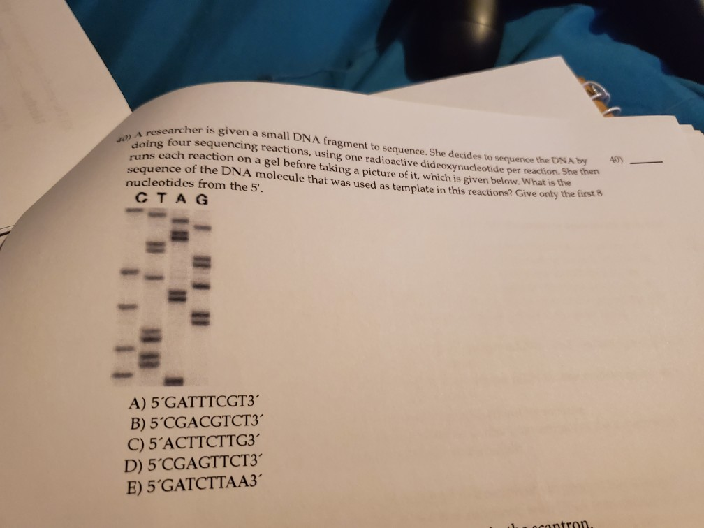 Solved 40) A researcher cher is given a small DNA fragment | Chegg.com