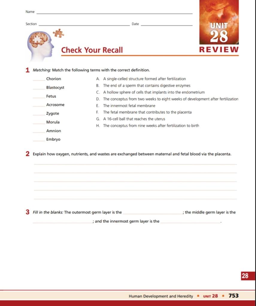 Solved Name Section Date Unit 28 Review Check Your Recall 1
