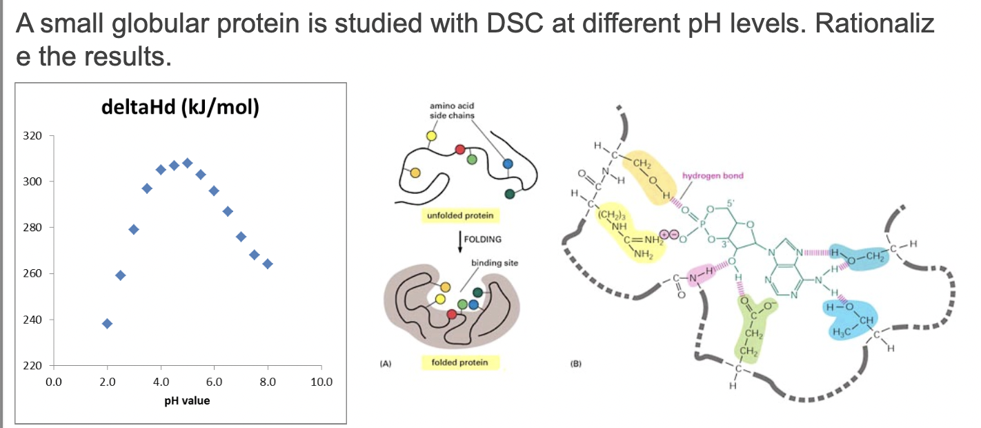 Solved A small globular protein is studied with DSC at | Chegg.com
