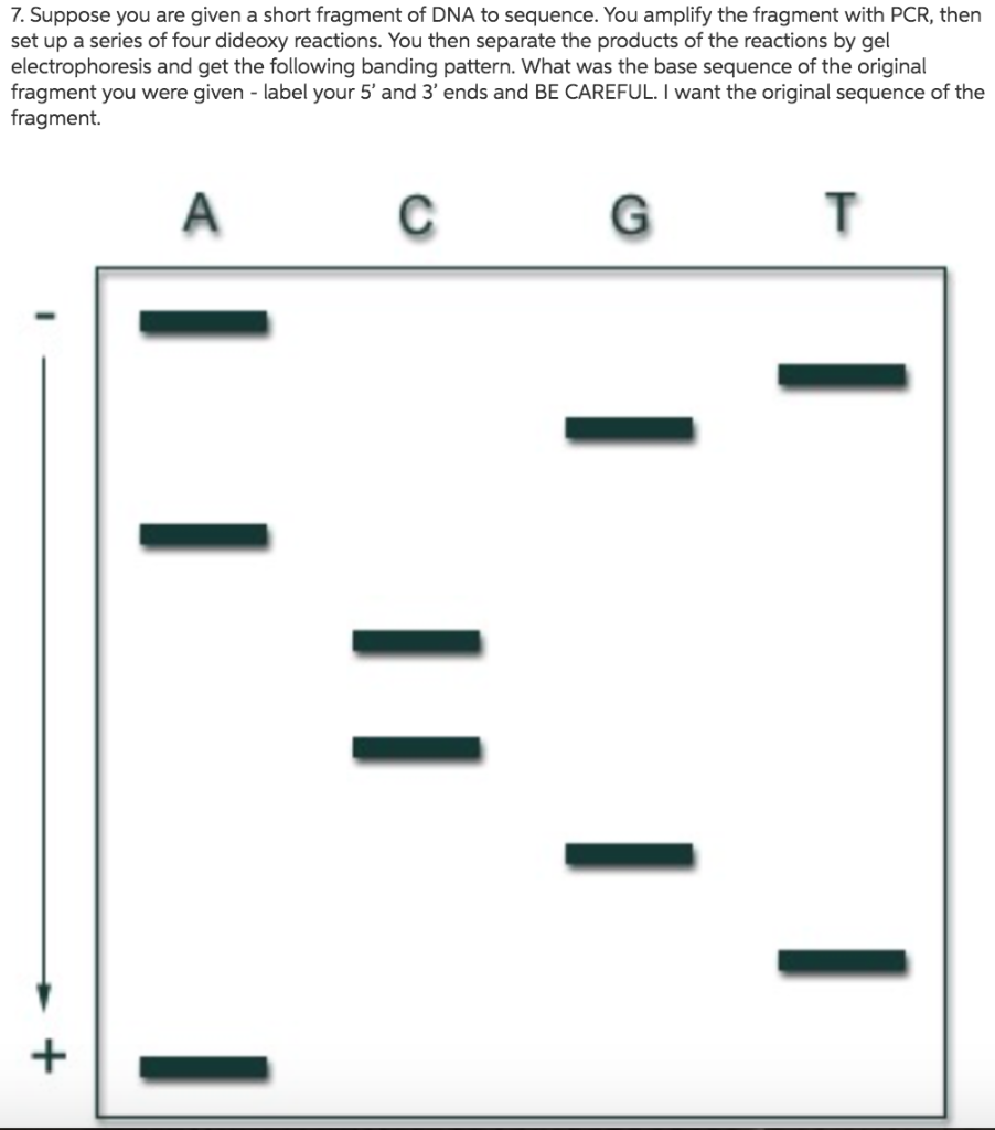 Solved 5. You have identified an allele of cystic fibrosis | Chegg.com