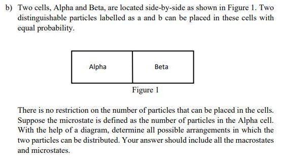 [Solved]: b) Two cells, Alpha and Beta, are located side-b