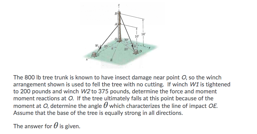 Solved 10 16 030 W: 25- 6 20 The 800 lb tree trunk is known | Chegg.com