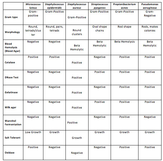Solved determine the bacteria by filling out the results of | Chegg.com