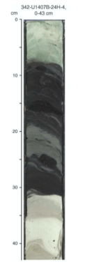 Solved The picture above shows a Cretaceous Ocean Anoxic | Chegg.com