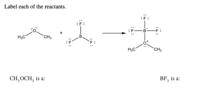 Solved Label each of the reactants. F: w - + H3C CH3 H3C CH3 | Chegg.com